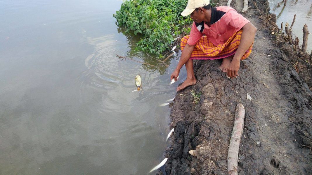 Potas Ikan Marak, Petani Tambak Resah - Portal Berita Online Dompu