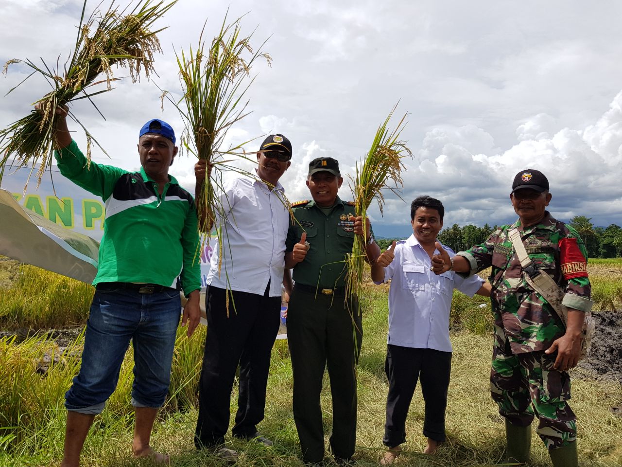 BPTP NTB dan Distambun Dompu Panen Padi Bersama - Portal Berita Online ... BPTP NTB dan Distambun Dompu Panen Padi Bersama - Portal Berita Online ...